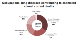 Asbestos Awareness: 7 Asbestos Facts You Need to Know – Training Express