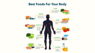 Introduction to the Principles of Food Hygiene and Safety