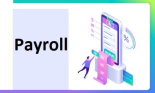 Payroll – Training Express