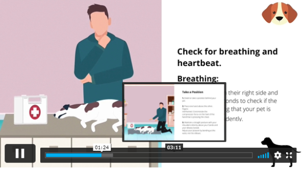 Dog First Aid – Training Express