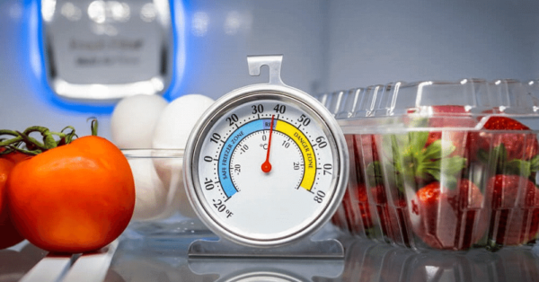 Food Temperature Danger Zone: The Complete Food Safety Guide – Training ...