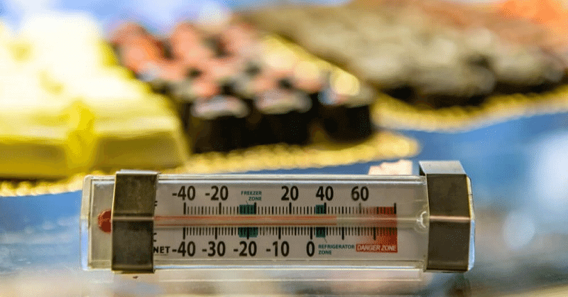 Food Temperature Danger Zone: The Complete Food Safety Guide – Training ...