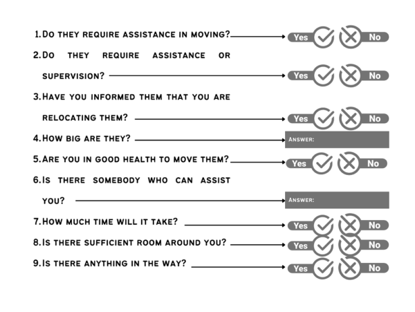 What is Moving and Handling in Health and Social Care?