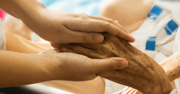 What are the 6 Principles of Safeguarding? [Children & Adults]