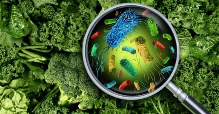 What Are The 4 Types Of Food Contamination? [With Examples]