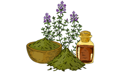 Naturotherapy Essentials – Training Express