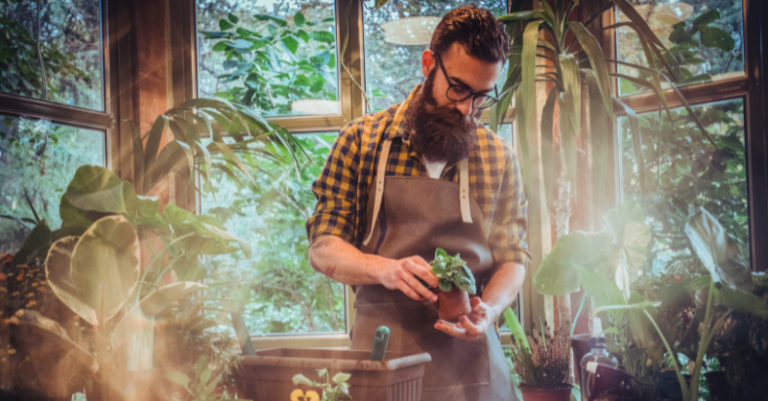 Tips to take care of your plants and best app to diagnose sick plants ...