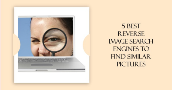 5 Best Reverse Image Search Engines to Find Similar Pictures – Training ...