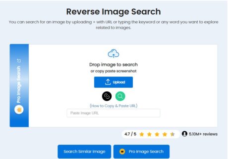 5 Best Reverse Image Search Engines to Find Similar Pictures – Training ...