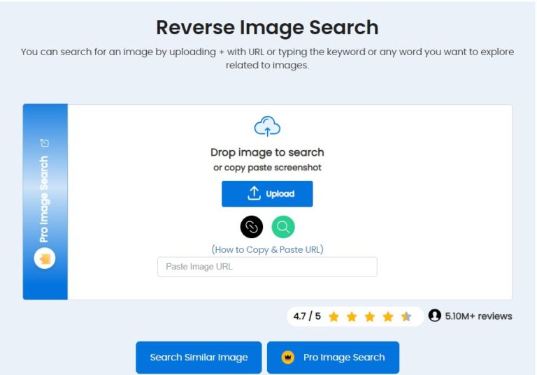 5 Best Reverse Image Search Engines to Find Similar Pictures – Training ...